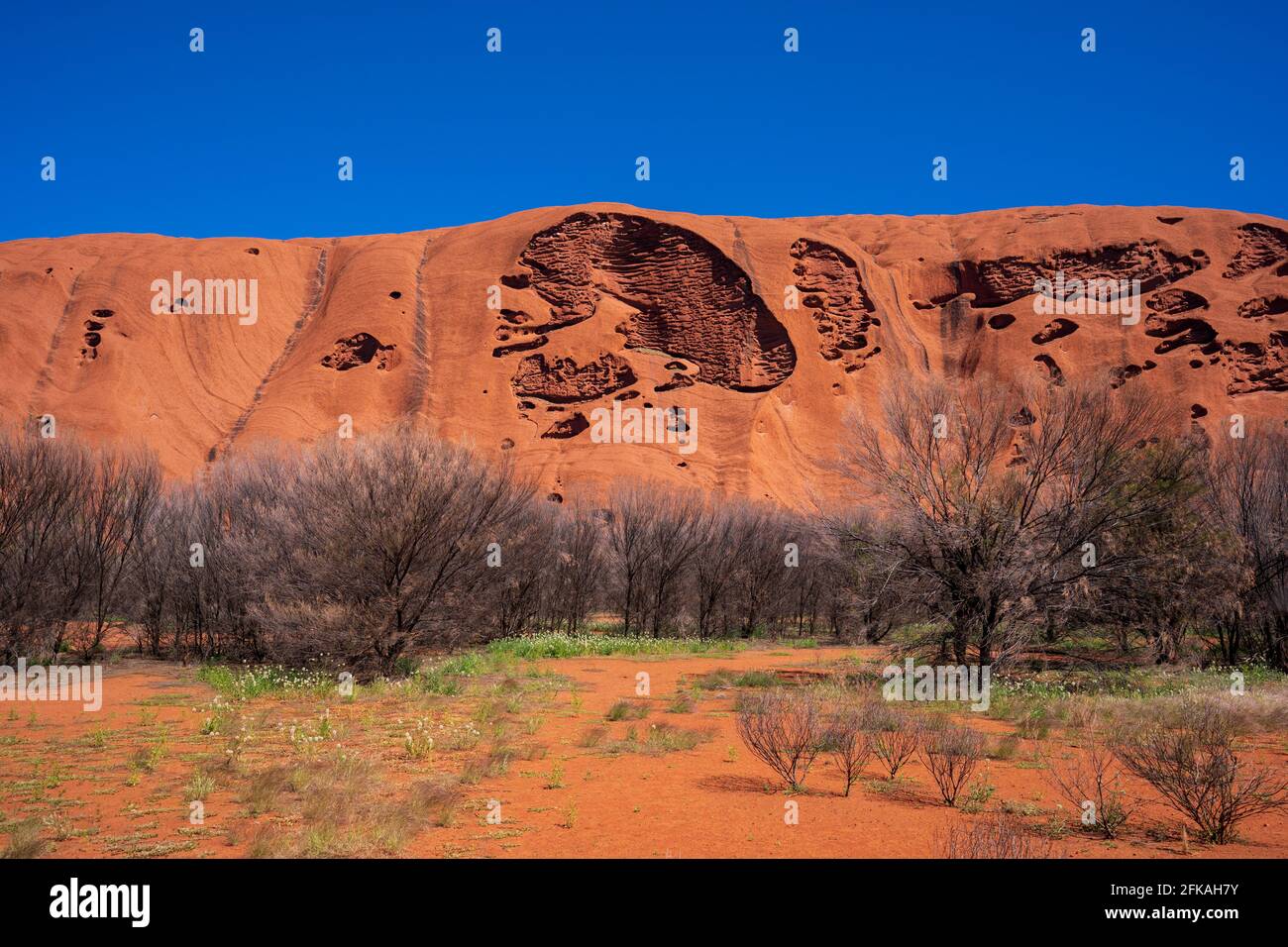 Uluru base walk Stock Photo - Alamy