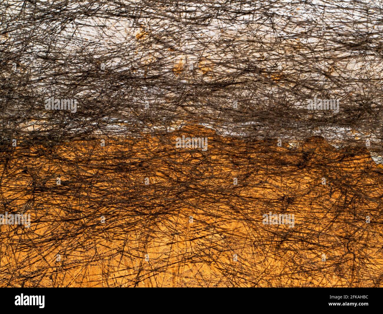 The texture of the spider web is black from smoke soot. Spider's web ...