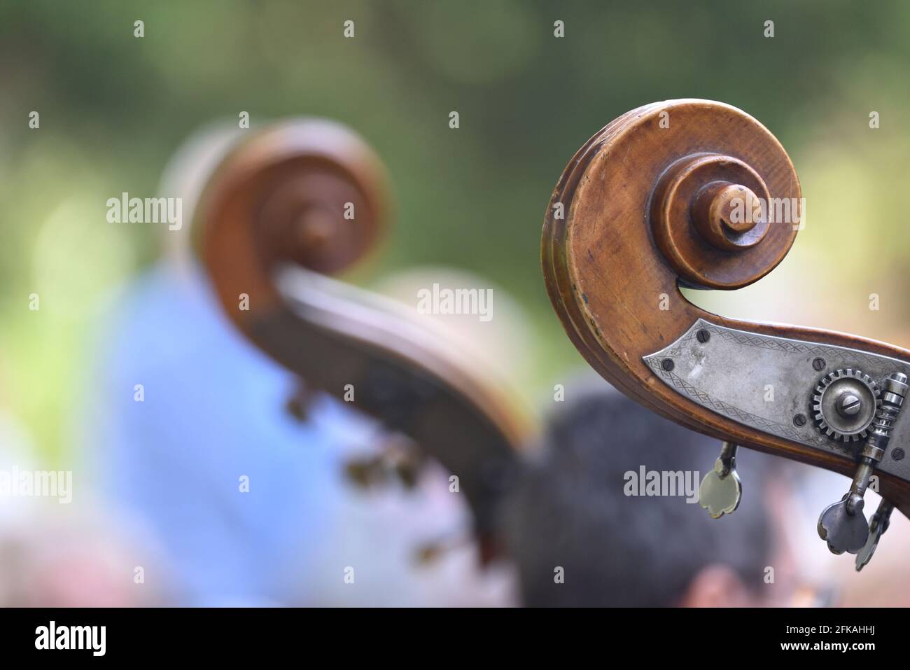 double bass worm with knobs for string adjustment Stock Photo - Alamy