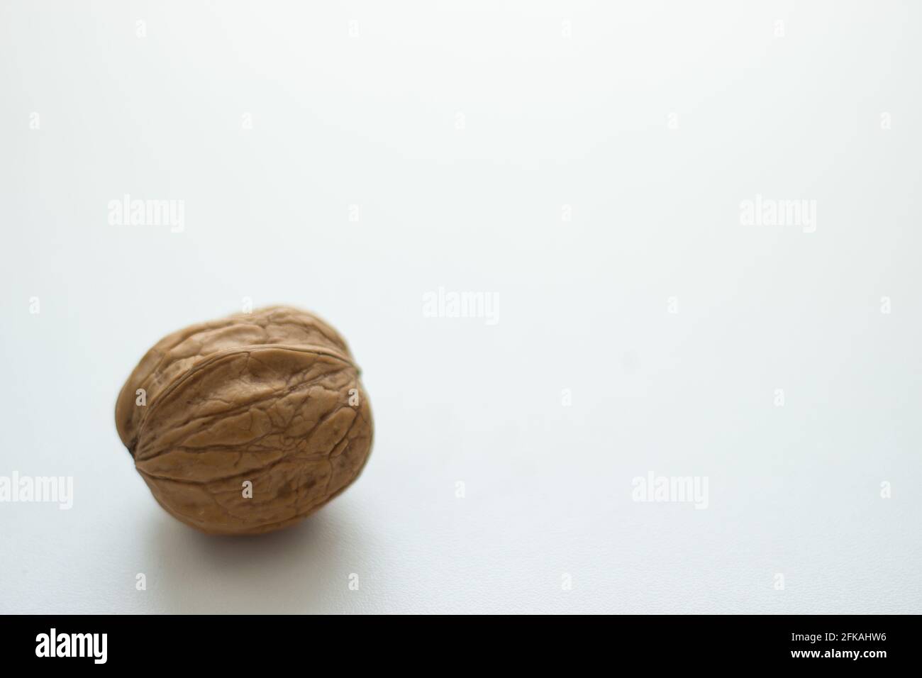 One whole walnut isolated on white background; autumn nuts Stock Photo ...
