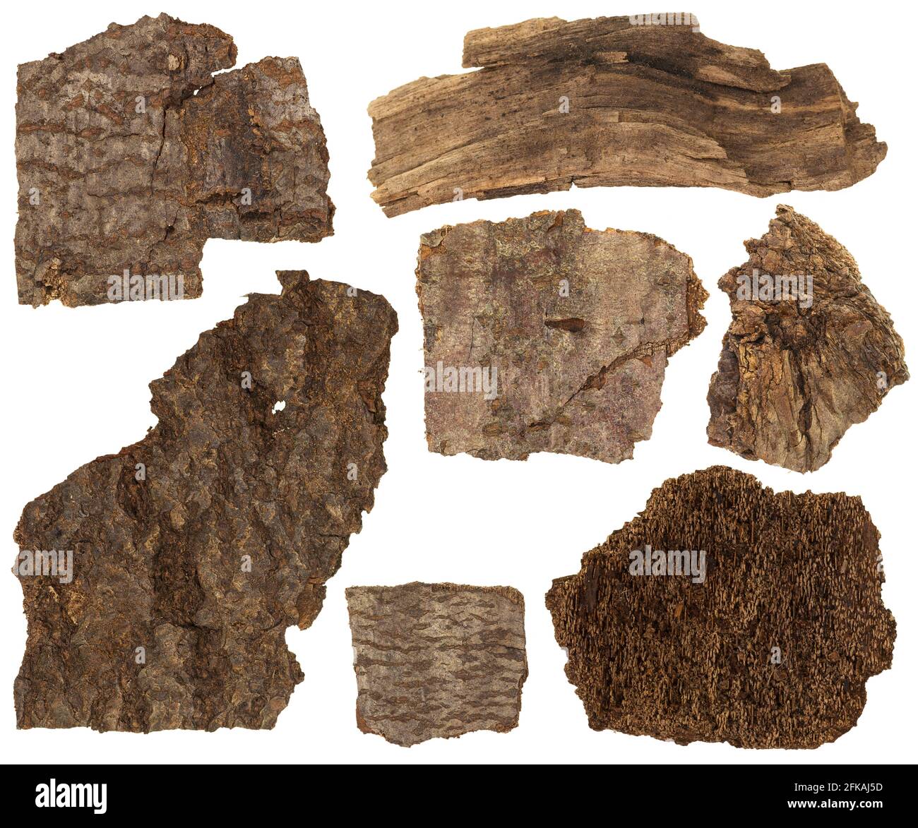 Collage set of dried bark and parts of pine tree trunk isolated on ...