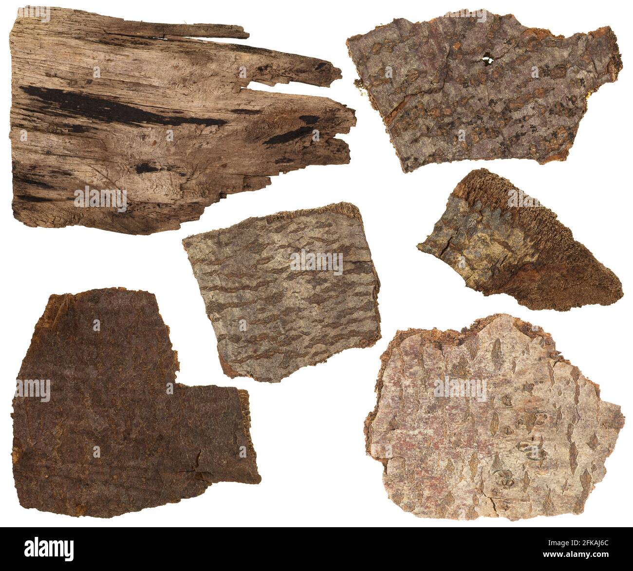 Collage set of dried bark and parts of pine tree trunk isolated on ...