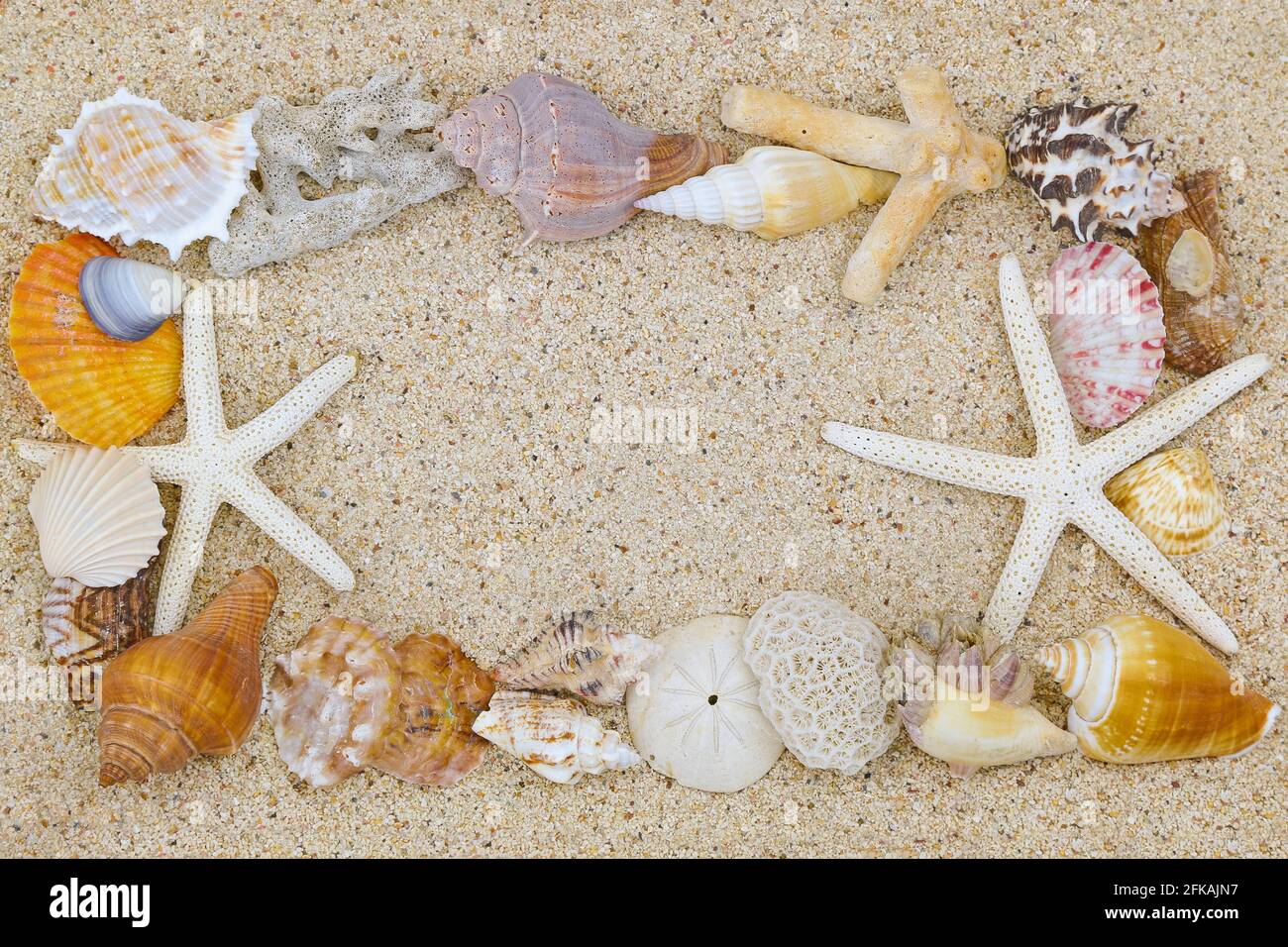 Different beautiful seashells and starfish arranged as a border on sand ...