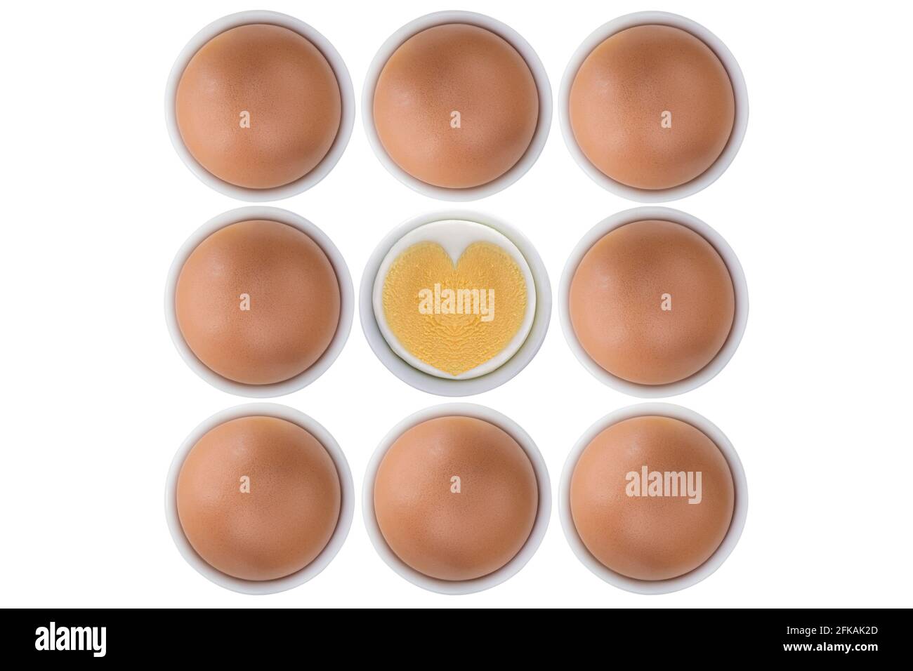 Chicken egg cross section hi-res stock photography and images - Alamy