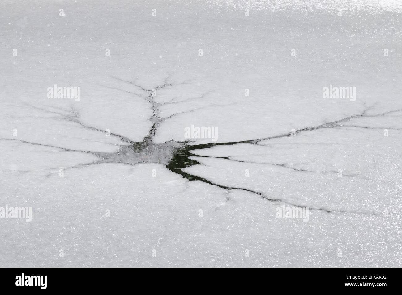 Frozen river water with crack in an ice floe showing surface of water ...