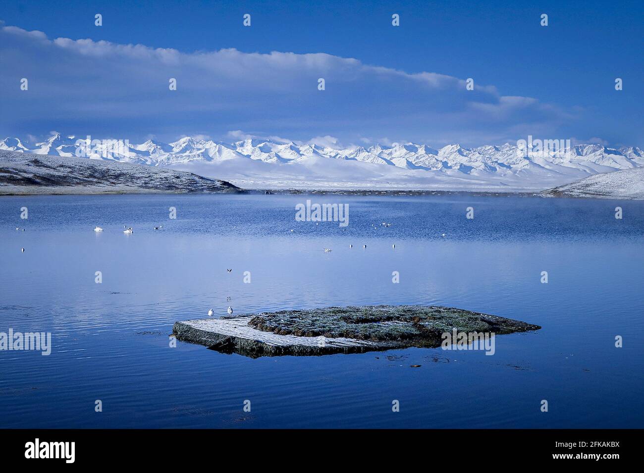 The pure land Stock Photo - Alamy