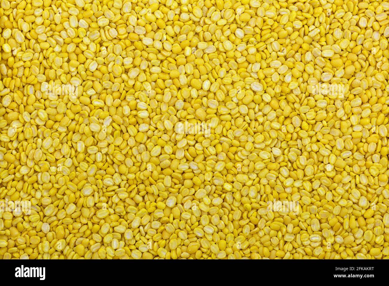 Closeup of dried Hulled and split mung bean in yellow without green ...