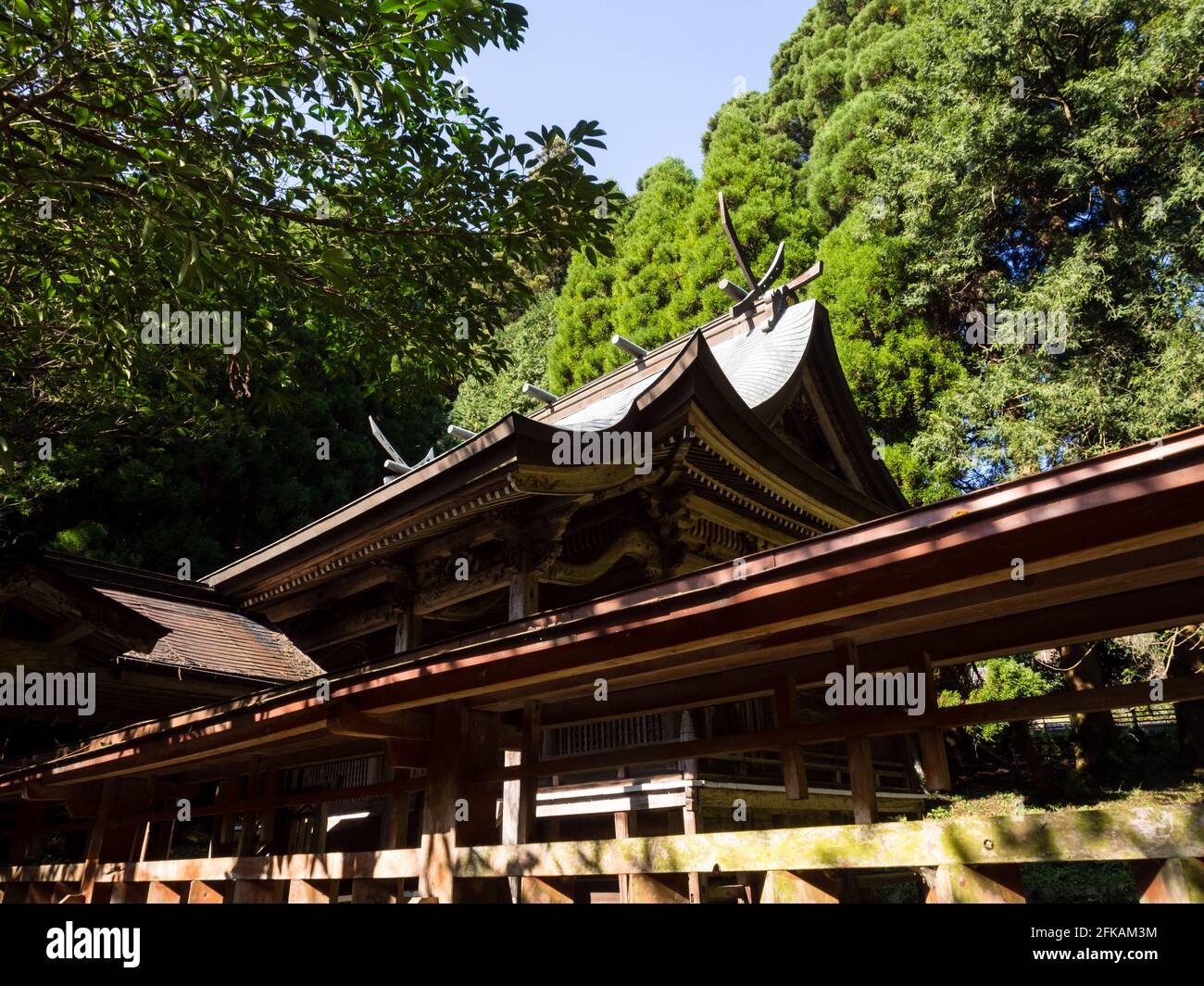 Aso, Japan - November 5, 2016: Main hall of historic Kokuzo Shrine in ...