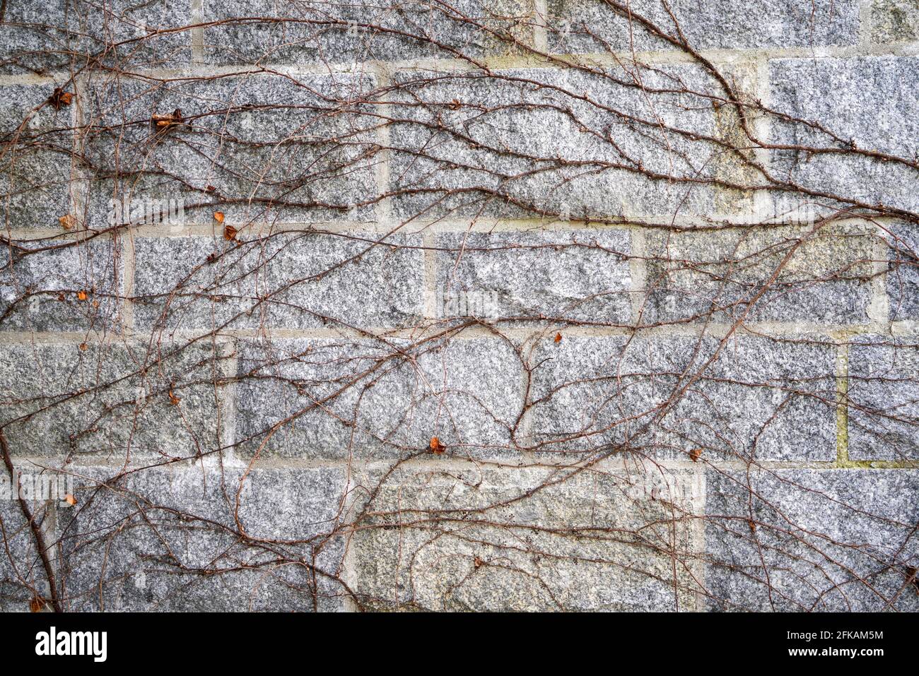 Wall made of natural stone built and grouted Stock Photo - Alamy