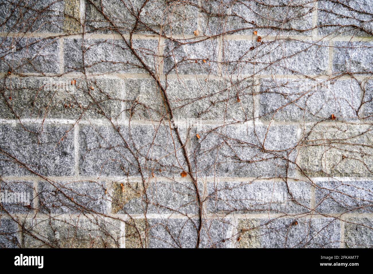 Wall made of natural stone built and grouted Stock Photo - Alamy