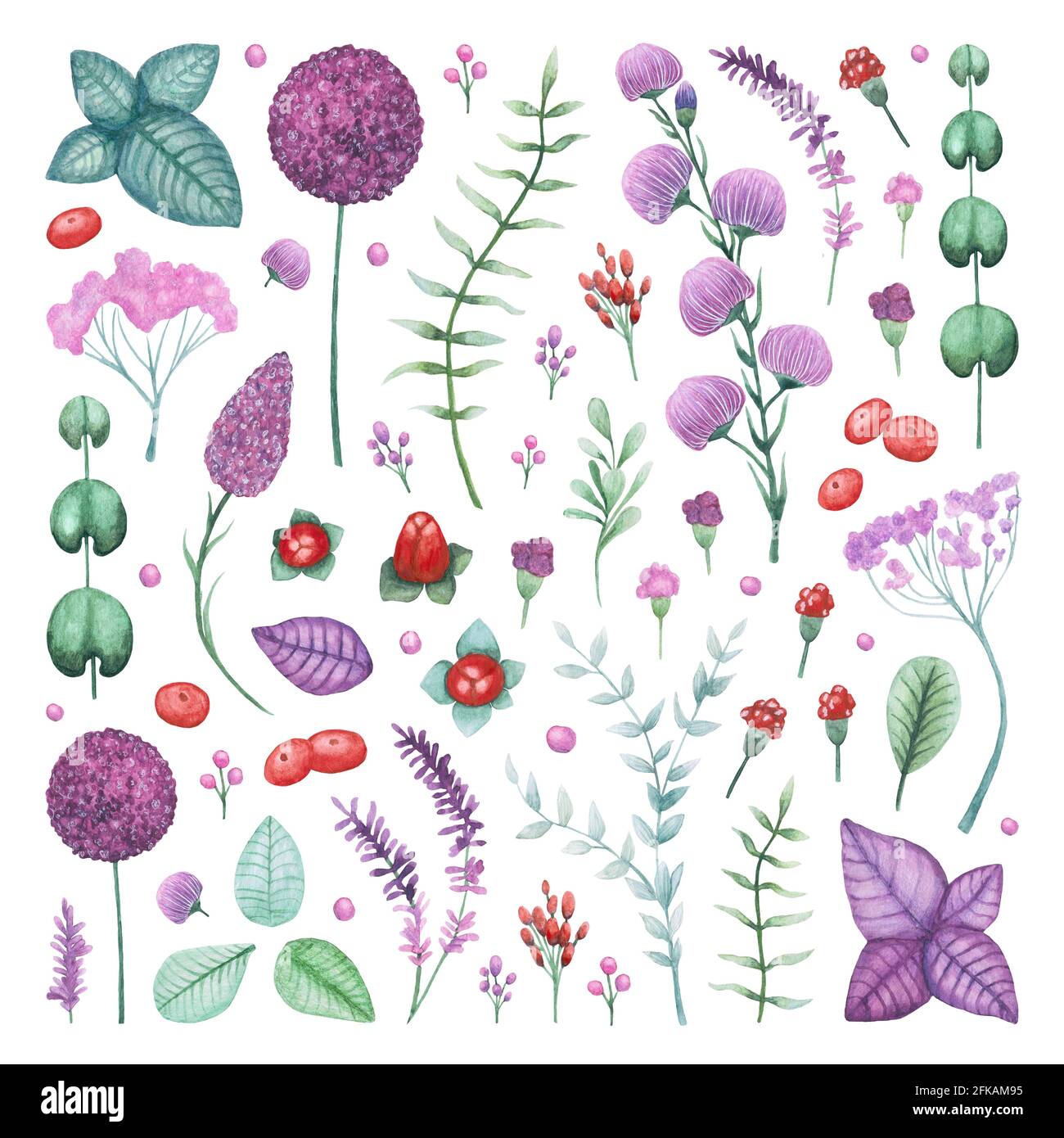 Onion set watercolor hand Cut Out Stock Images & Pictures - Alamy