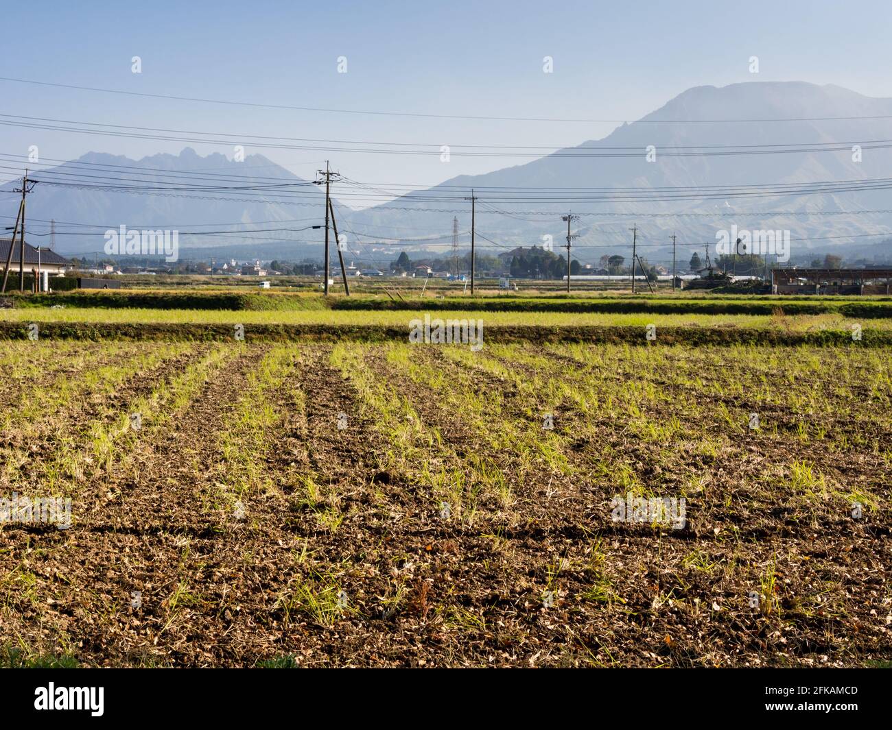 Farming on rice fields inside Aso volcanic caldera - Kumamoto ...