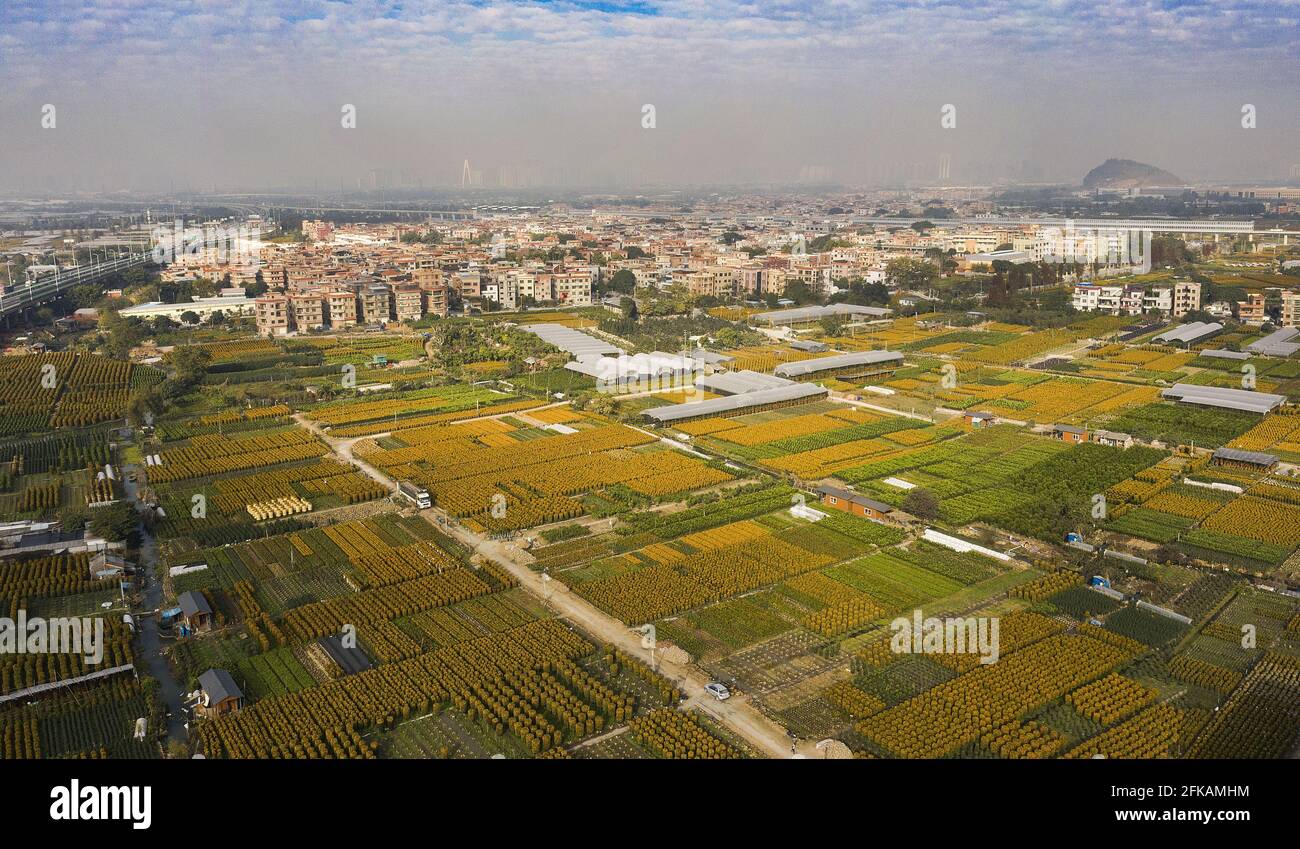 Rural governance model villages hi-res stock photography and images - Alamy