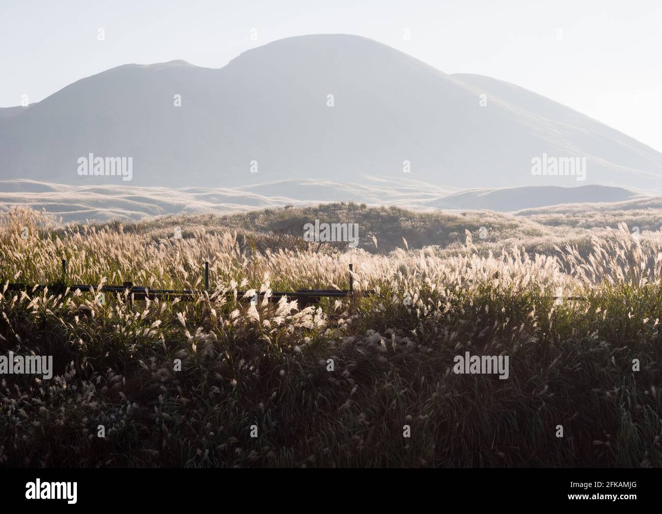 Sunlit grass on the meadows in Aso volcanic caldera - Aso-Kuju National ...