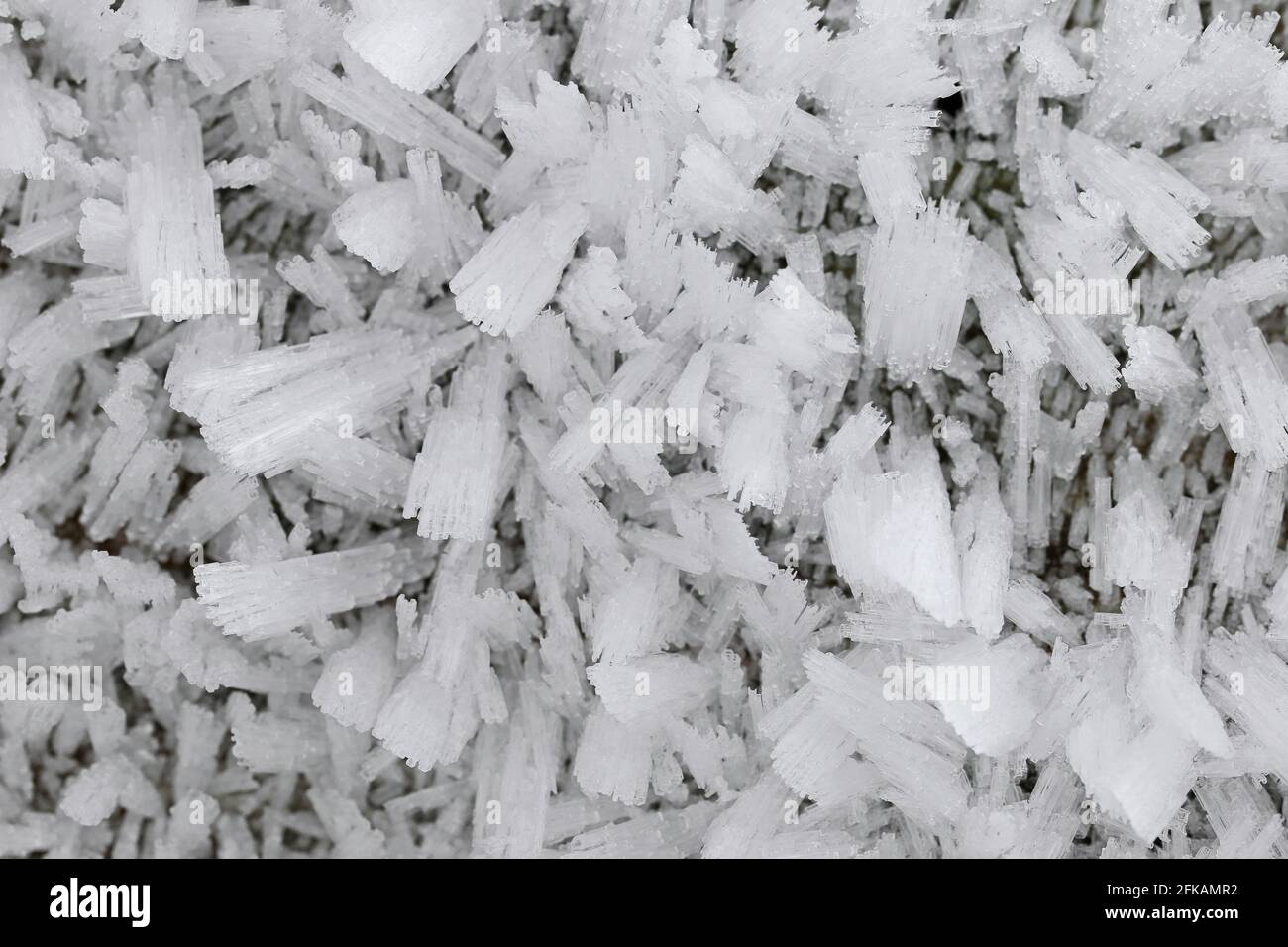 Frosted ground surface hi-res stock photography and images - Alamy