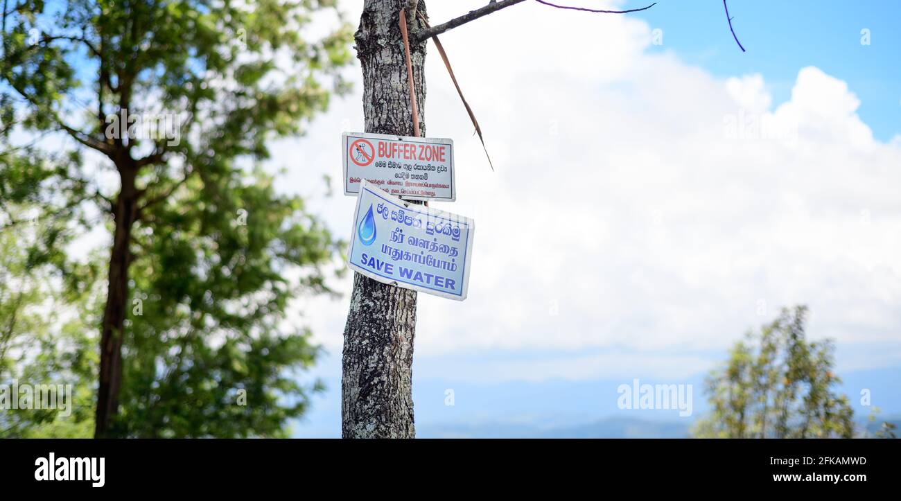 Buffer Zone and Save Water sign boards nailed into the tree trunks in ...