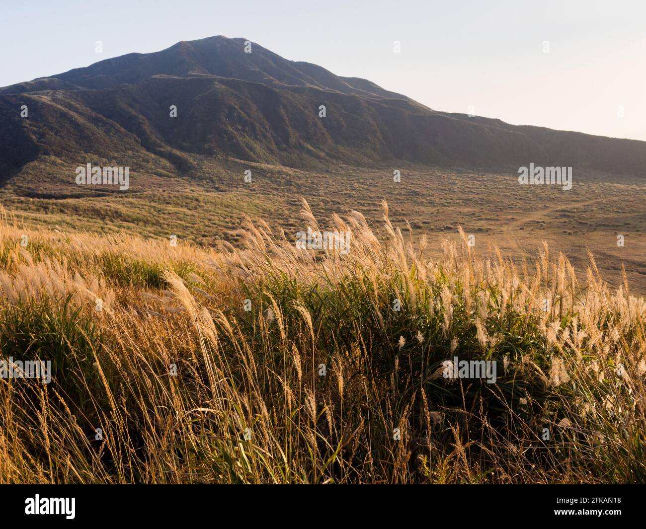 Golden autumn grass at Kusasenri Plateau inside Aso volcanic caldera ...