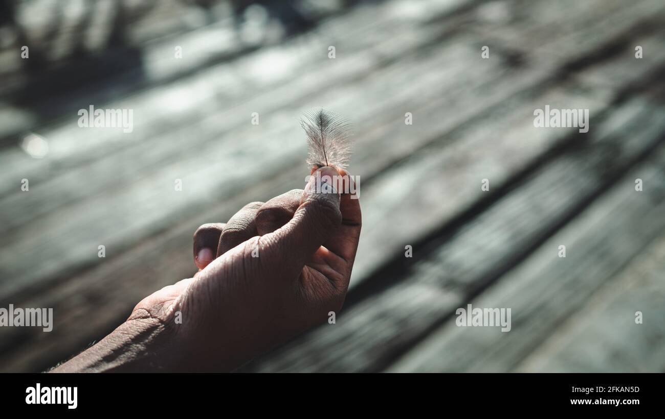 Holding a small feather by a male hand, a great picture for creating ...