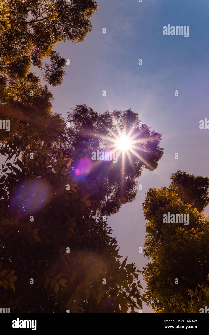 Light coming through beams hi-res stock photography and images - Alamy