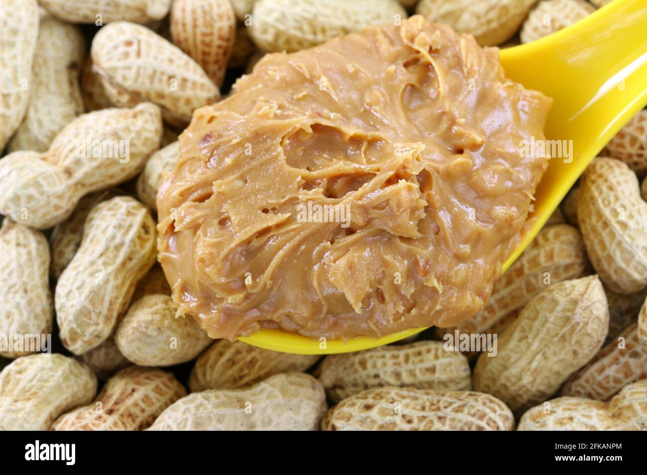 A spoon of creamy crunchy peanut butter on peanuts Stock Photo - Alamy