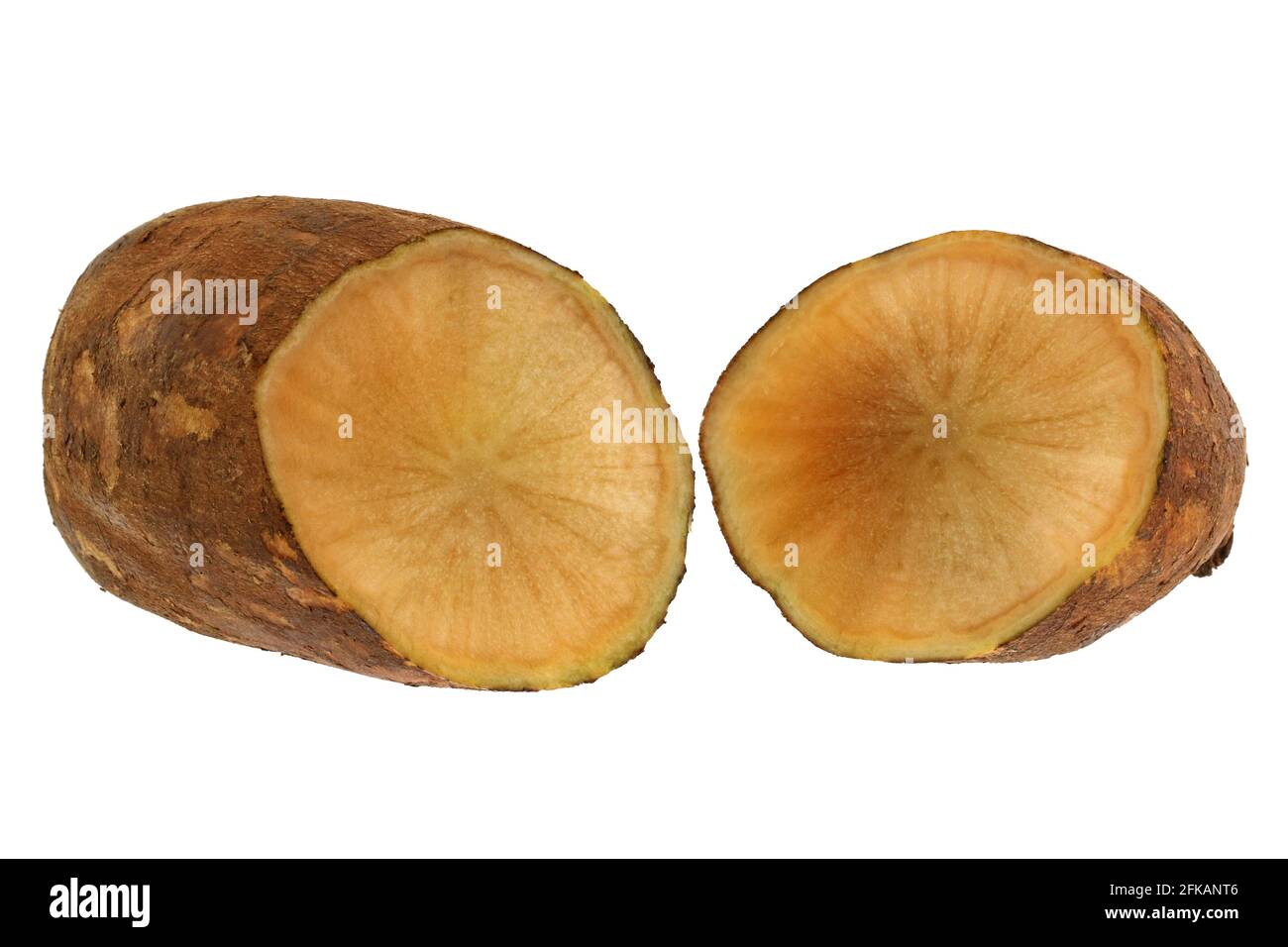 Fresh Yacon (Peruvian ground apple) cut in half, isolated on white ...