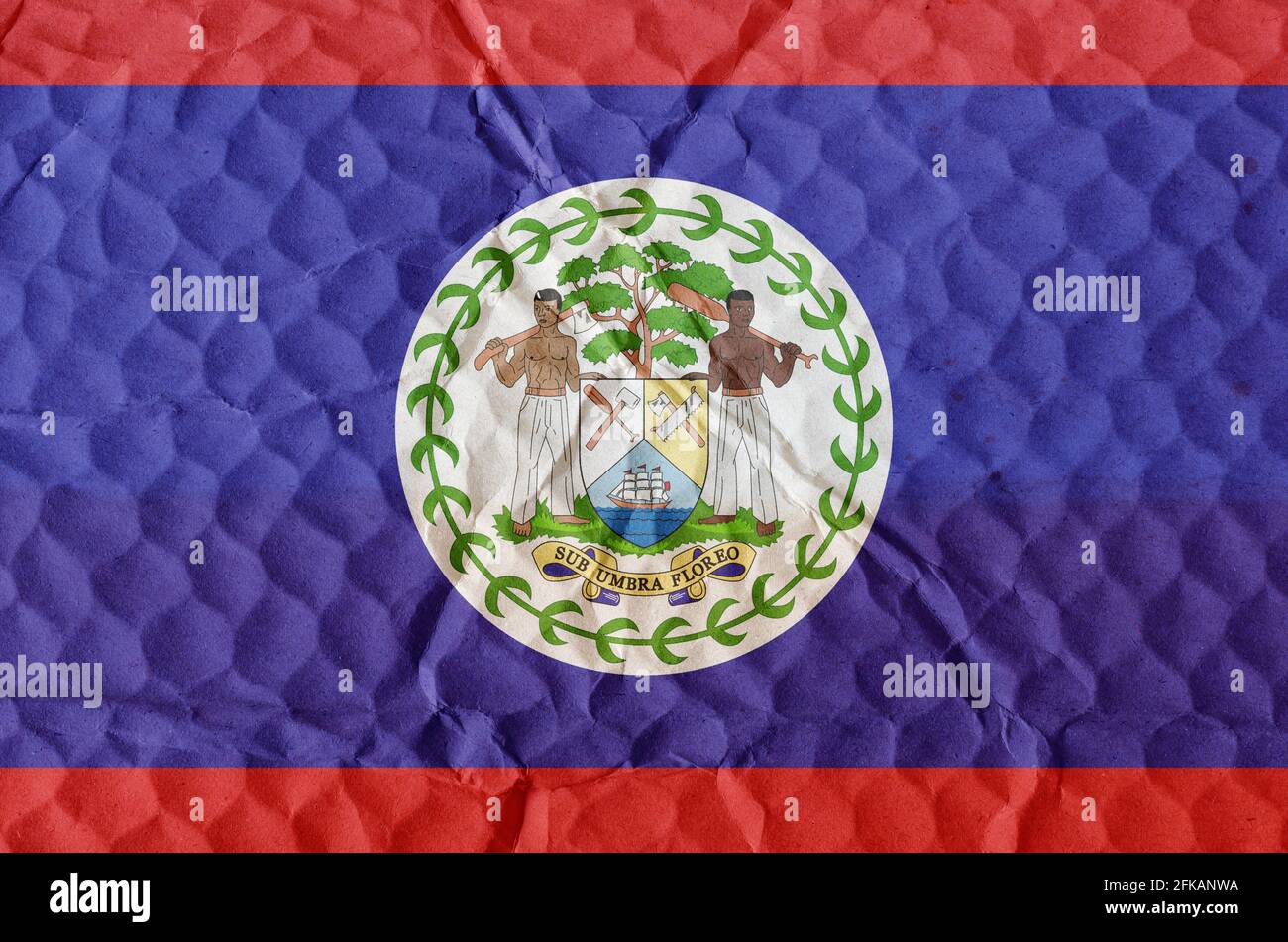Blue-red National Flag of Belize on an uneven textured surface. The ...