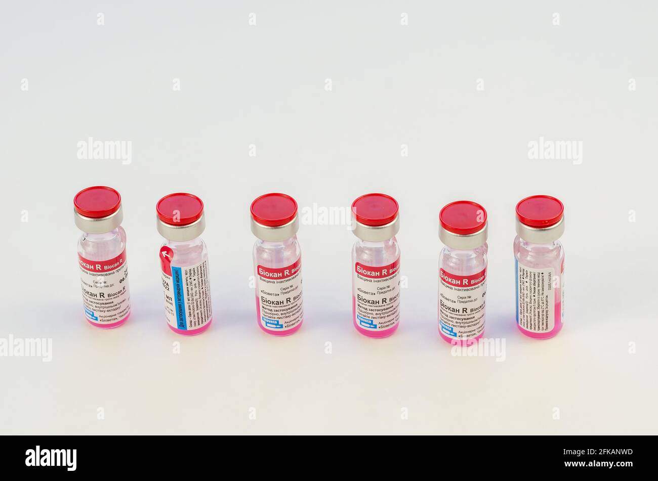 Rabies Vaccine High Resolution Stock Photography and Images - Alamy