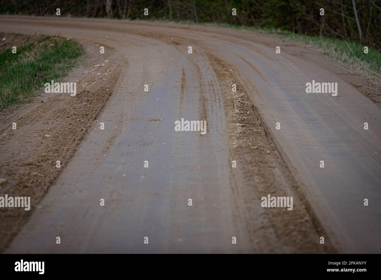 Dirty gravel forest pathway bends to the left. Tire and wheel prints on ...