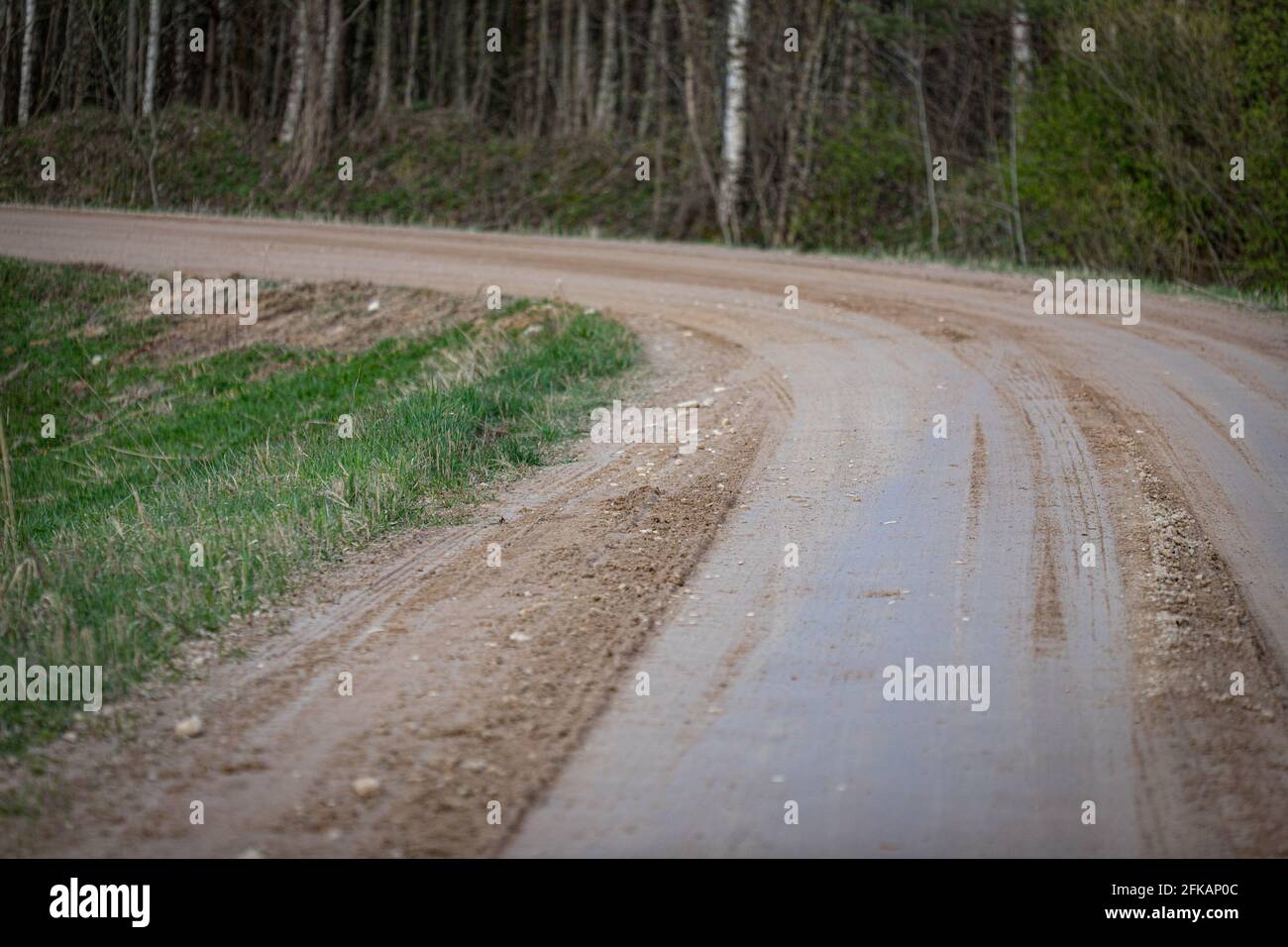 Dirty gravel forest pathway bends to the left. Tire and wheel prints on ...