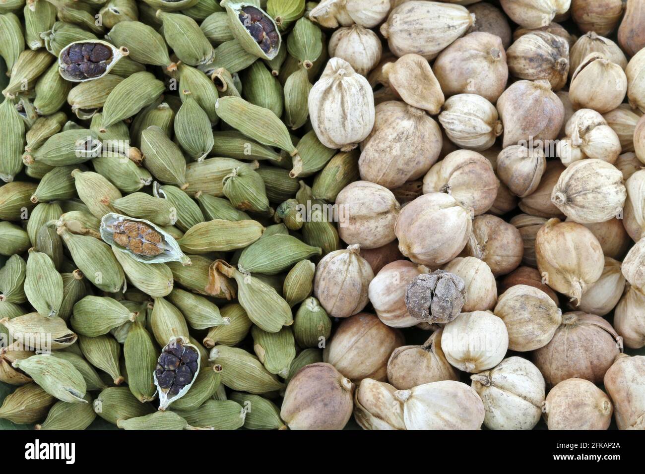 Closeup of Dried green Cardamon pods and Round Siamese Cardamom ...