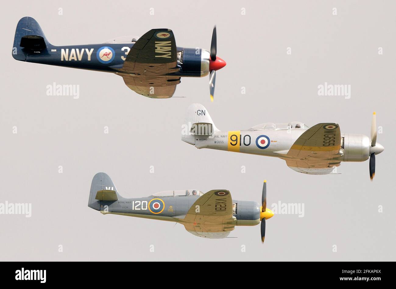 Hawker sea fury wwii hi-res stock photography and images - Alamy