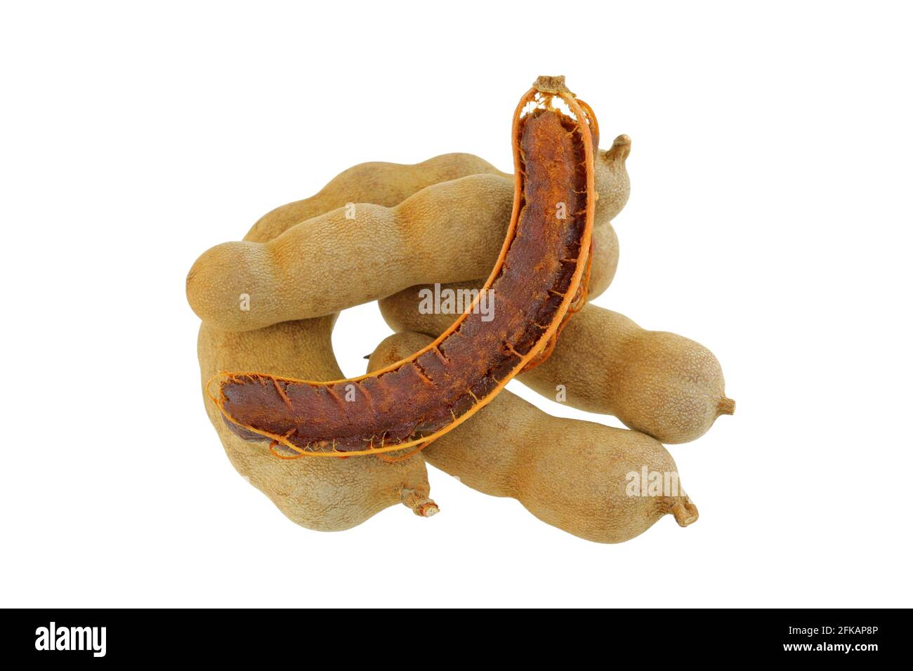 Closeup photo of Tamarind pods (Tamarindus indica) isolated on white ...