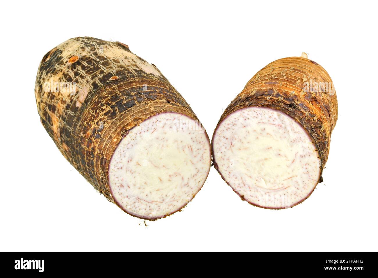 Closeup photo of Taro, root vegetable, isolated on a white background ...