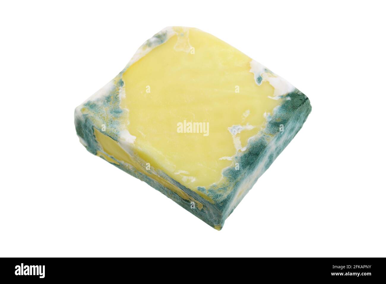 Moldy American Cheese