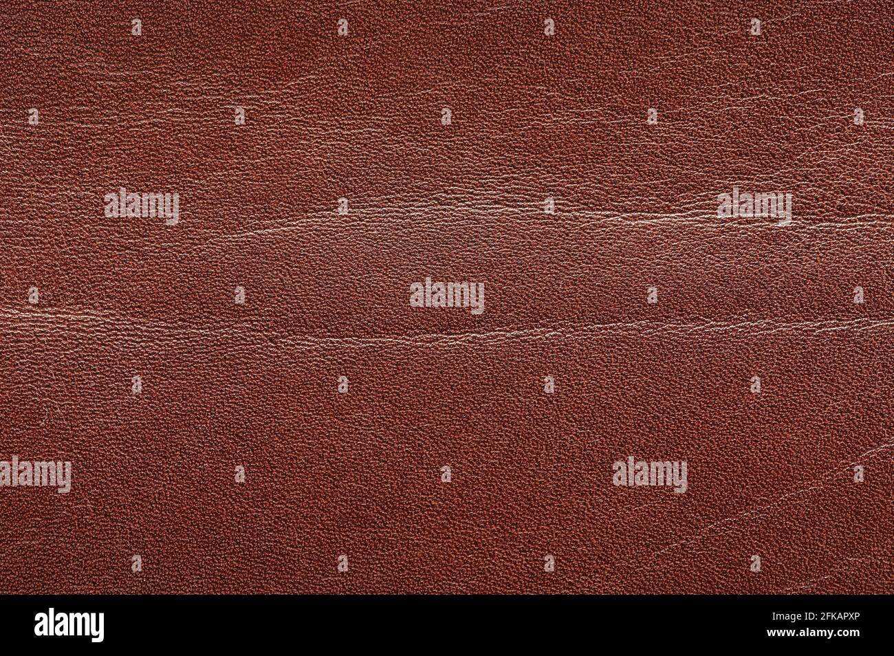 Structure of brown skin texture with wrinkles close up view Stock Photo ...