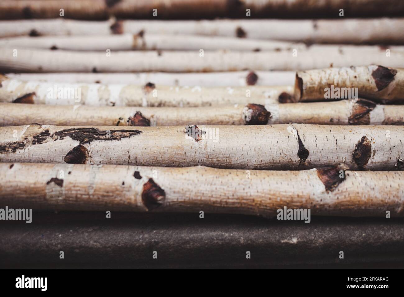 wooden birch branches. design element Stock Photo - Alamy