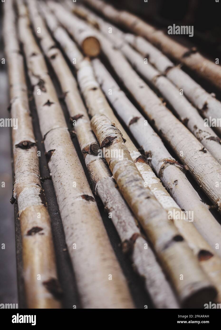 wooden birch sticks. design and decor Stock Photo - Alamy