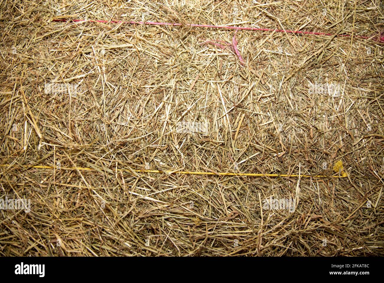 A straw bail background texture of the hay bale Stock Photo - Alamy