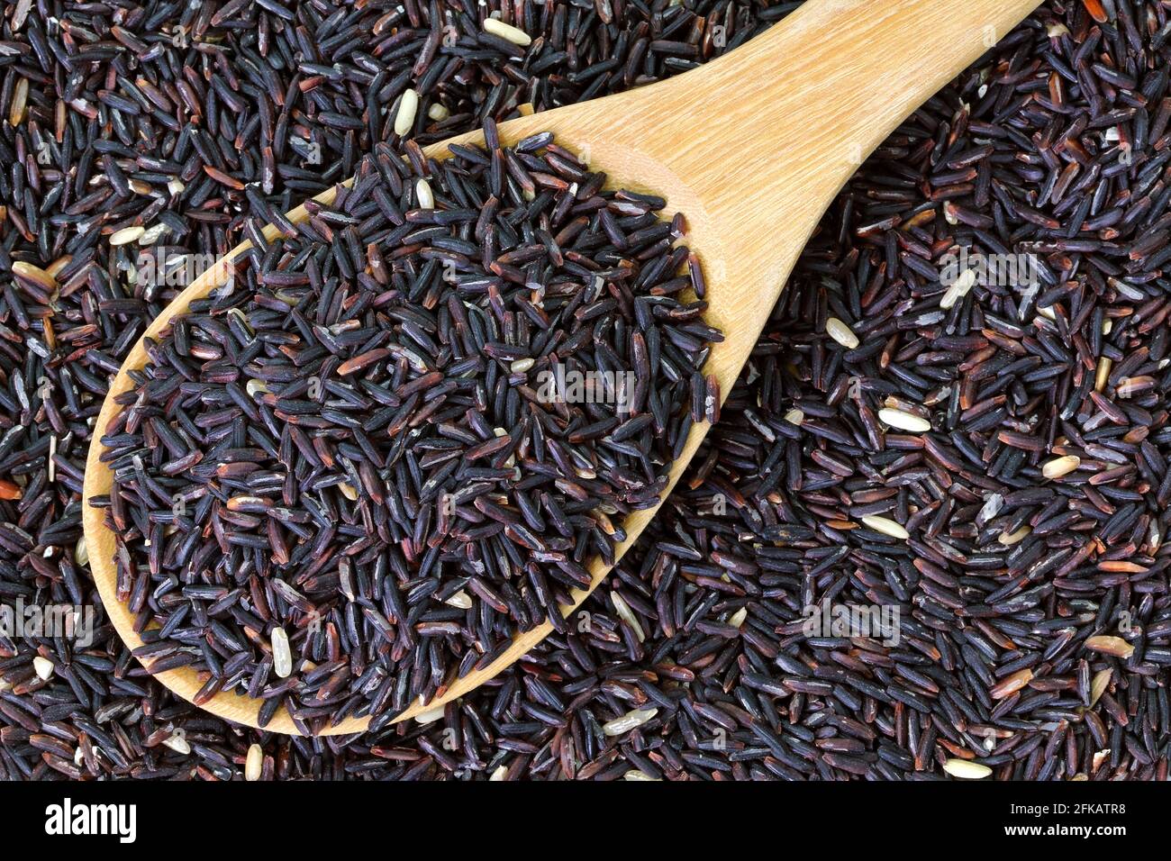Closeup of raw purple Riceberry rice, it is a crossbred between Thai ...