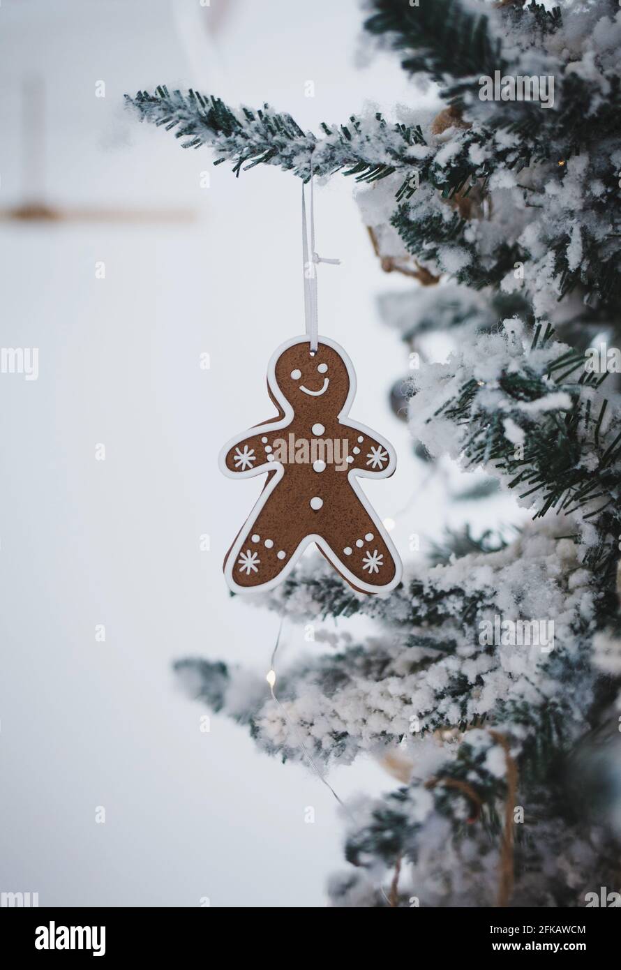 Christmas food. Gingerbread man cookies on the Christmas tree Stock ...