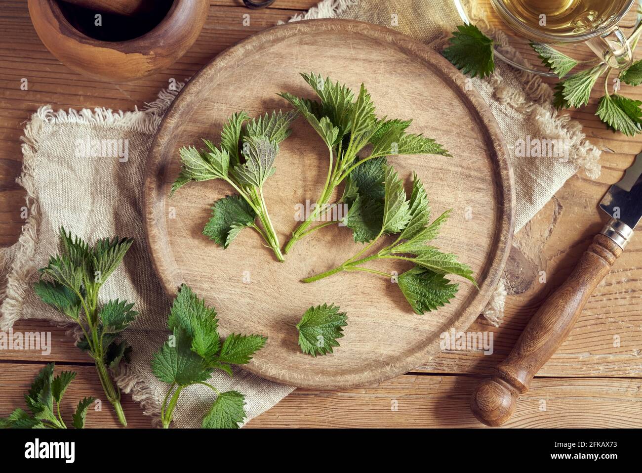 Fresh young nettles collected in spring on a wooden cutting board, top ...