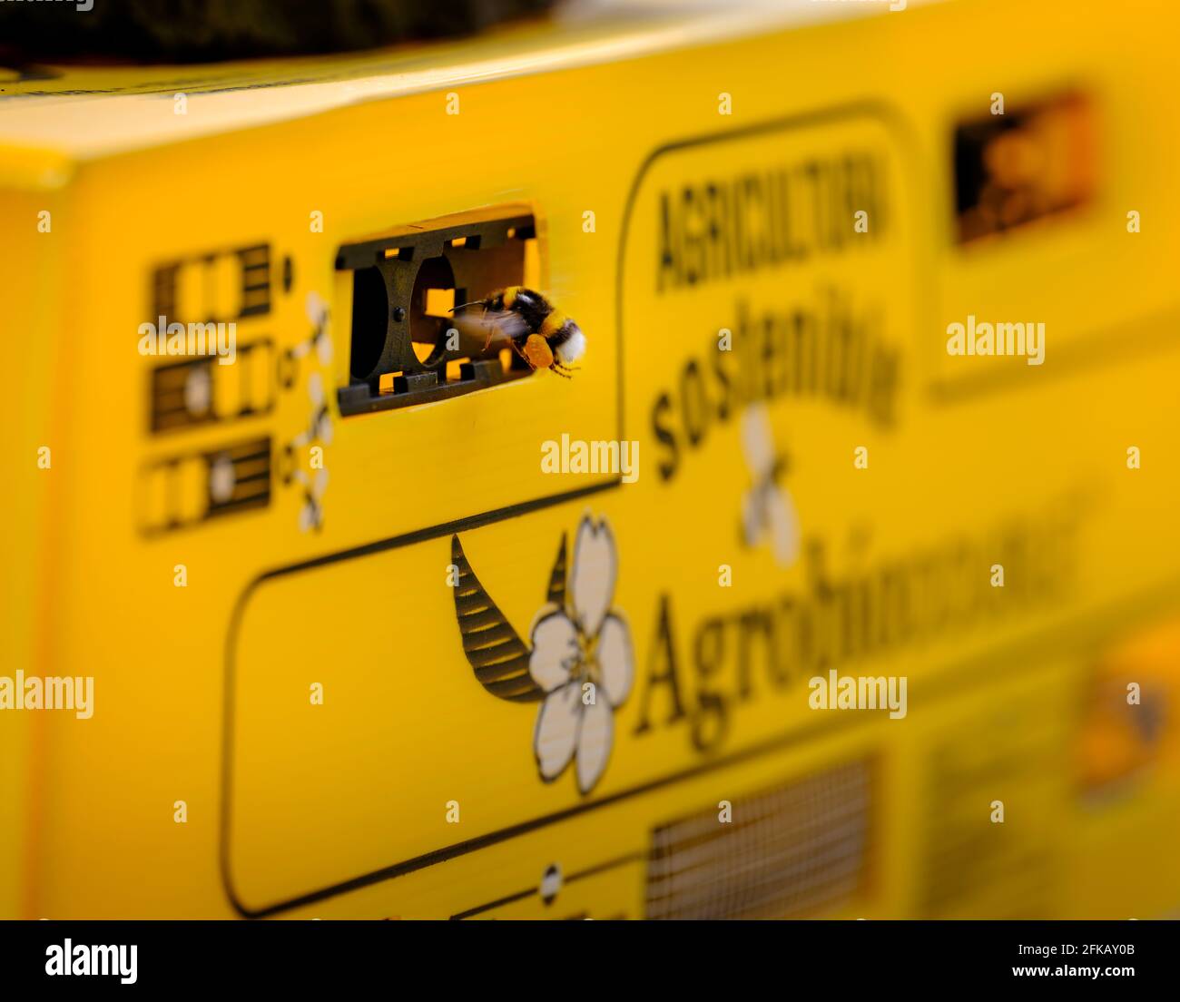 Pollination ventilated hi-res stock photography and images - Alamy