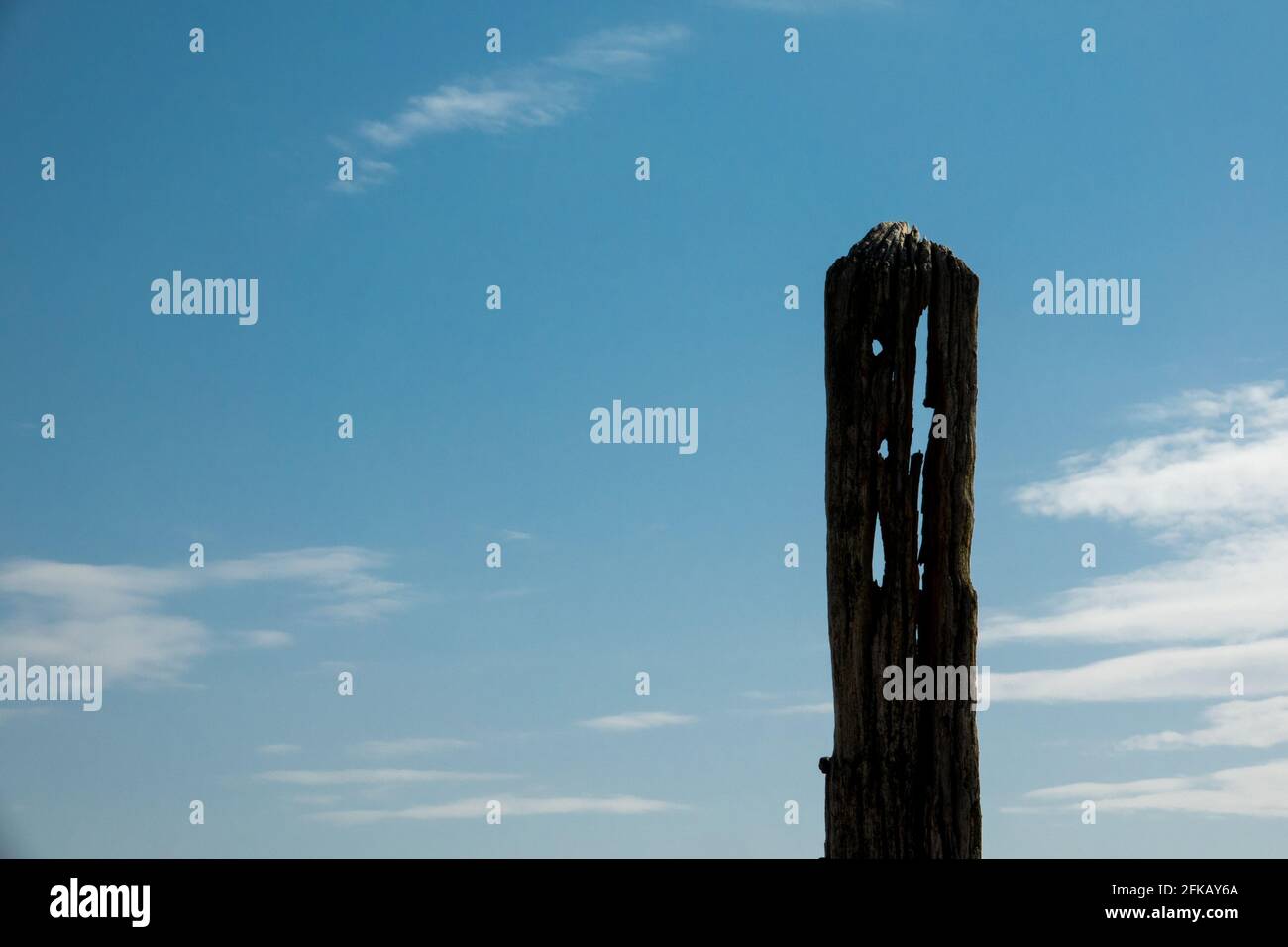 Weathered post on beach Stock Photo - Alamy