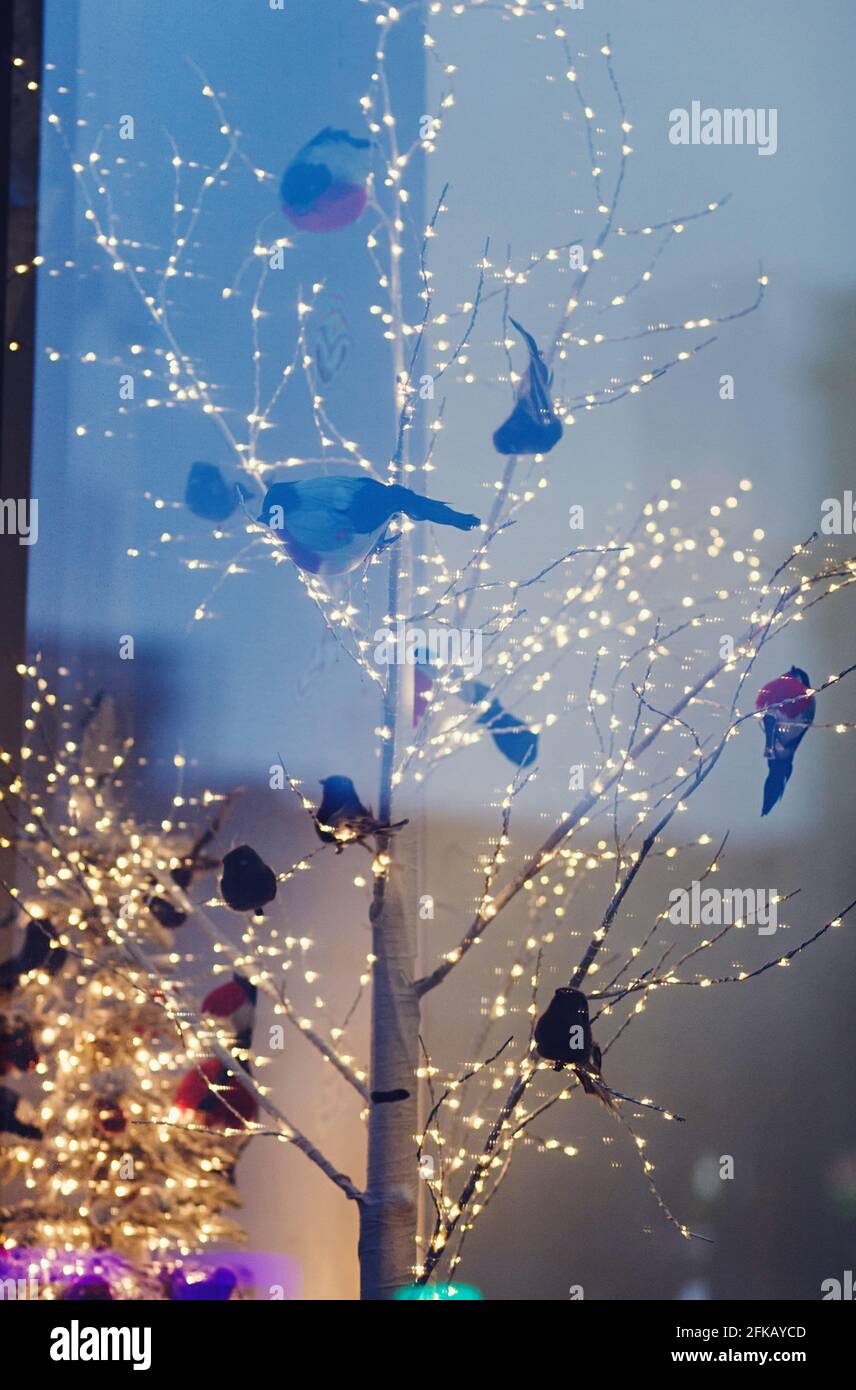 Christmas showcase with decorated tree and lights. Christmas decor ...