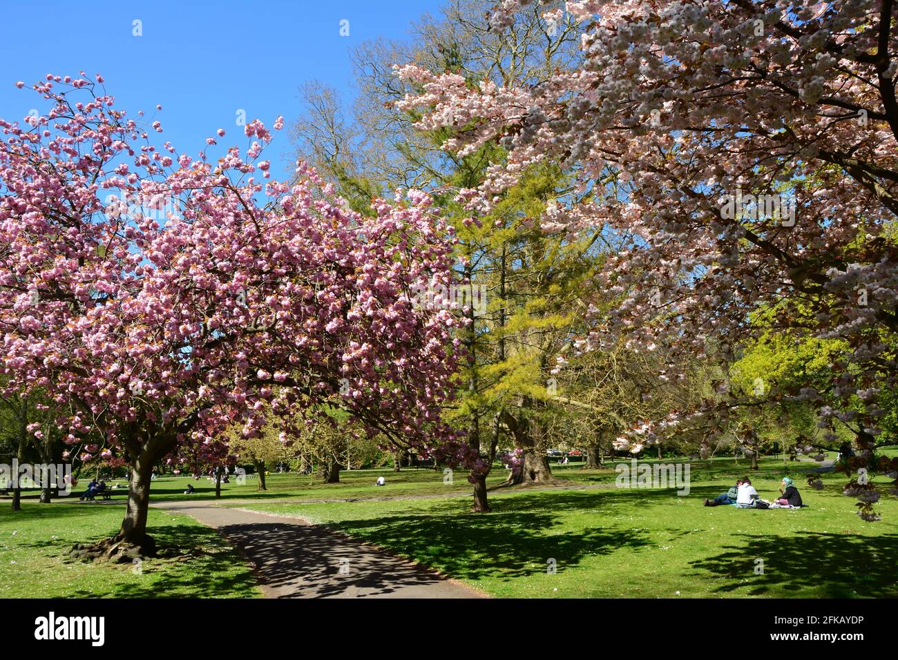 Henrietta Park, Bath, England. April 25, 2021 Stock Photo - Alamy