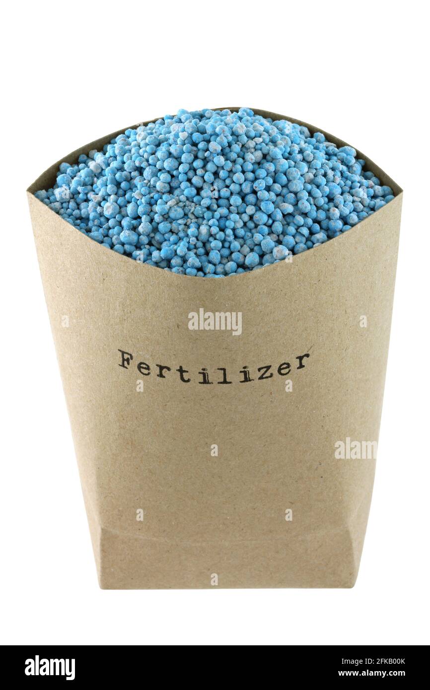 A bag full of Blue NPK compound Fertilizer isolated on white background ...