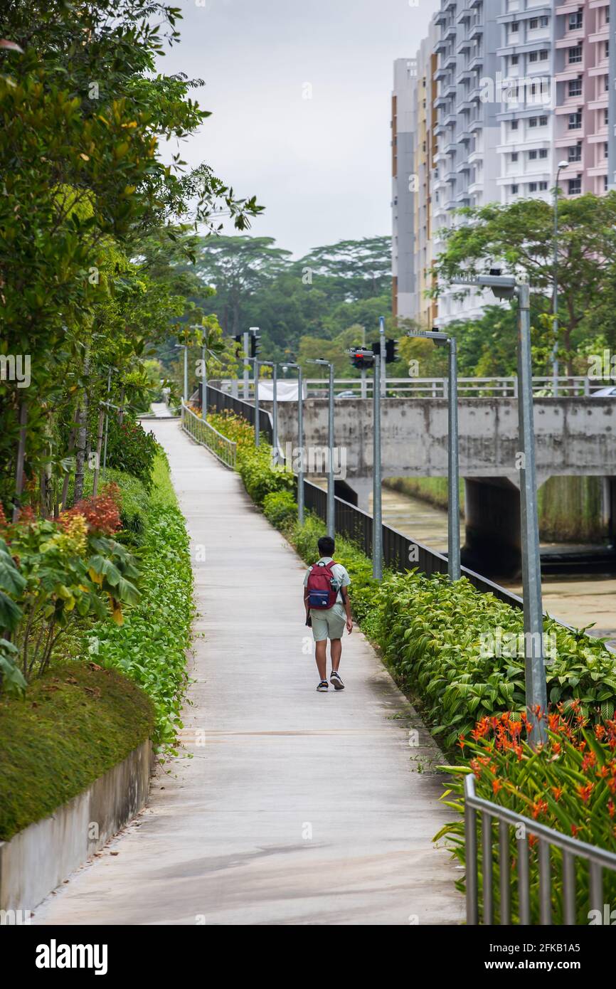 Vertical view of an Indian school boy, back view, he is using the ...