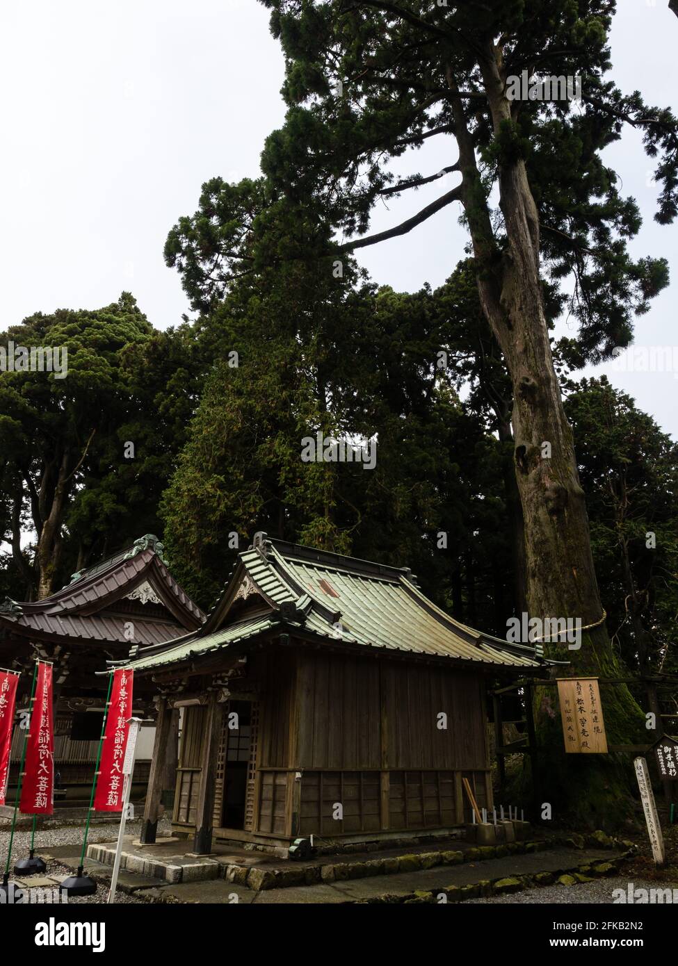 Minobu, Japan - October 19, 2017: Wooden pavilions and old growth trees ...