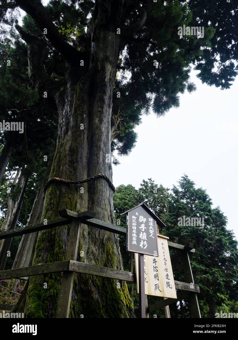 Minobu, Japan - October 19, 2017: Old growth trees planted by Nichiren ...