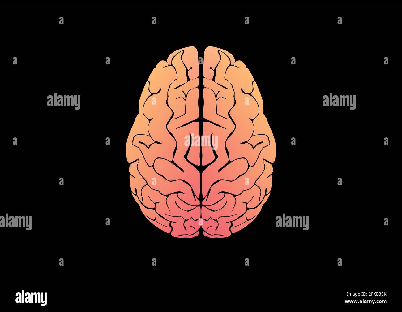 Vector illustration of human cerebral cortex on black background Stock ...